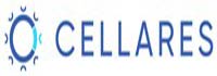 Cellares Raises $82M To Solve The Biggest Hurdles In Cell Therapy ...
