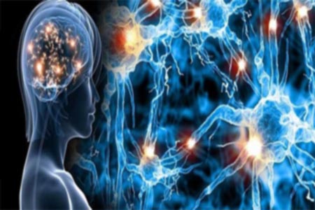 SMOORE Launches Pioneering Research Project into Nicotine Addiction